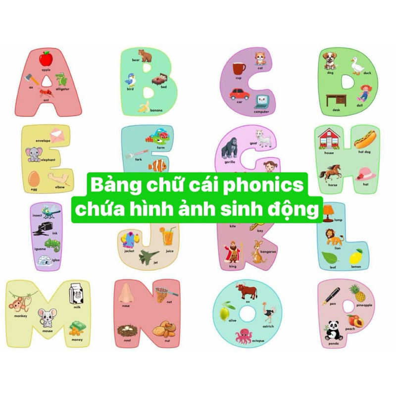 Phonics alphabet size A5 laminated with waterproof plastic based on ...