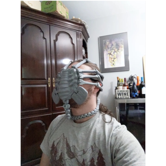Plastic 3D Printed Model - Wearable Alien Facehugger Mask - Covers face ...