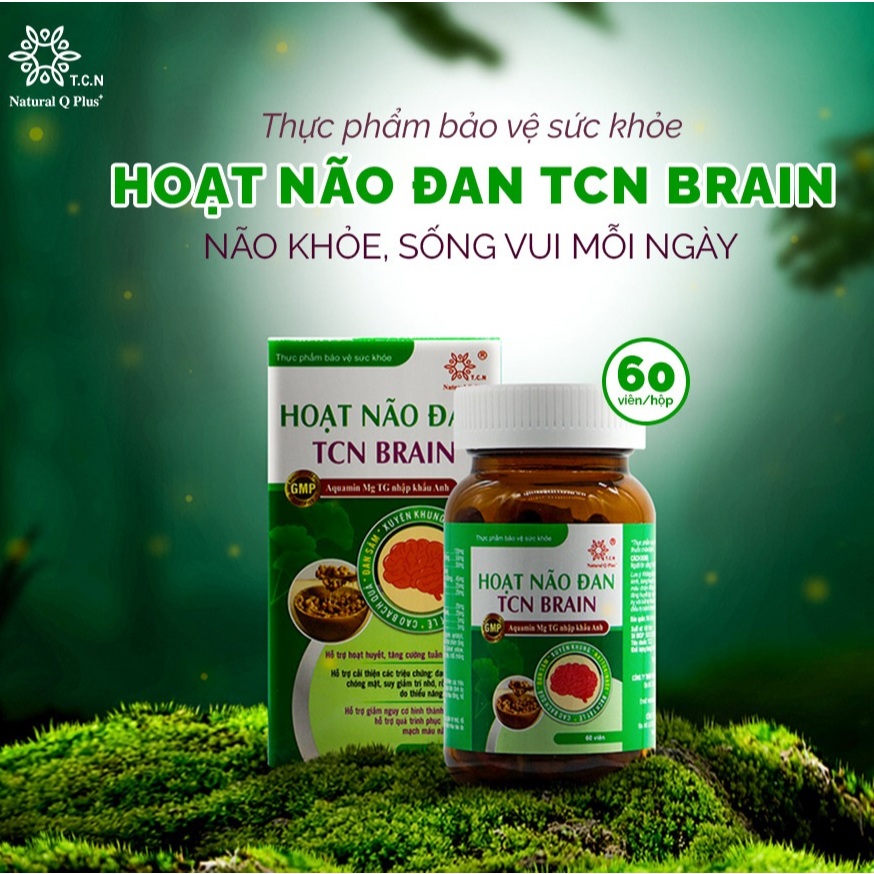 CONBO 4 Boxes of Active Brain Dan TCN Brain supports blood circulation ...