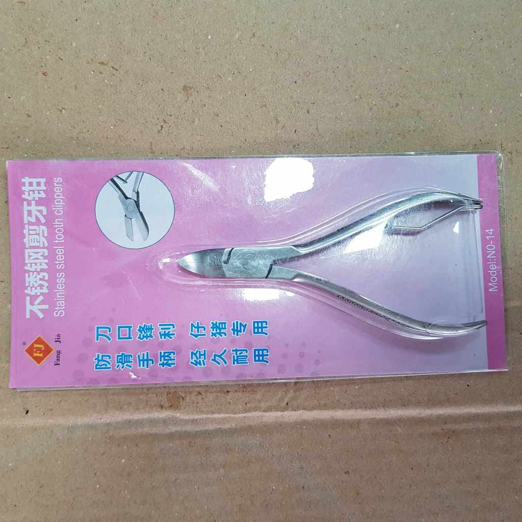 Stainless steel tools for pressing pig fangs, Spa,... | Shopee Malaysia