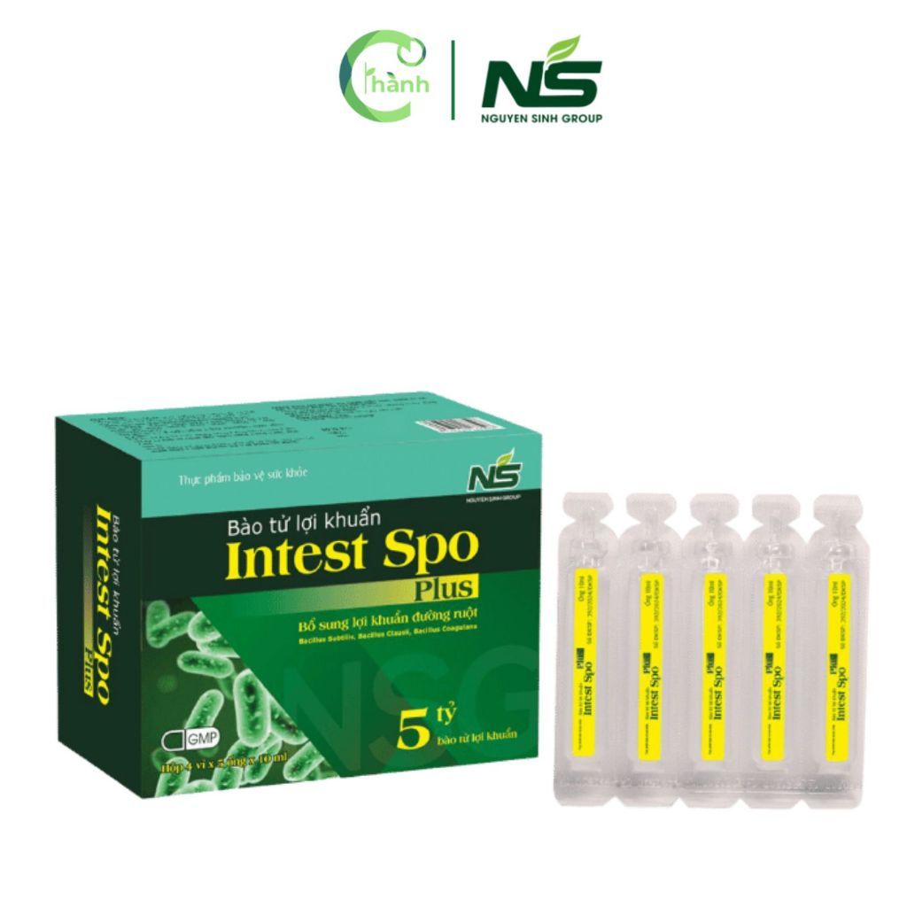Intest Spo NSG Probiotic spores contain 5 billion beneficial bacteria ...