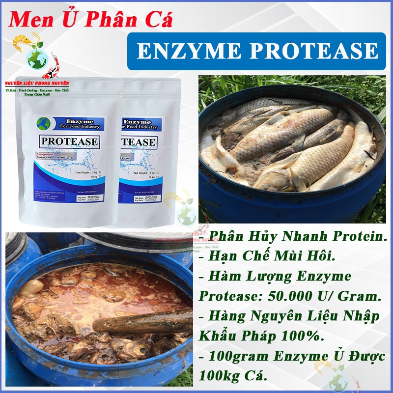 Protease Enzyme Fish Enzyme, Decomposes Protein, Reduces Odor ...