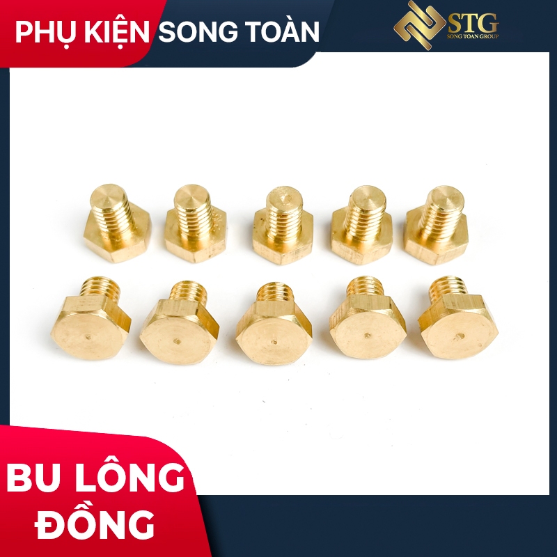 M5 Brass Bolts, M5 Threaded Screw Heads 14mm Long (Bag of 10) Brass ...