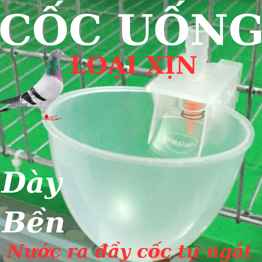 Automatic Drinking Trough for Pigeons and Ornamental Birds, Genuine and ...