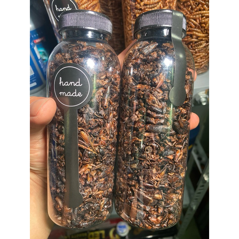 Dried Thai crickets 330ml bottle super nutritious for hamsters ...