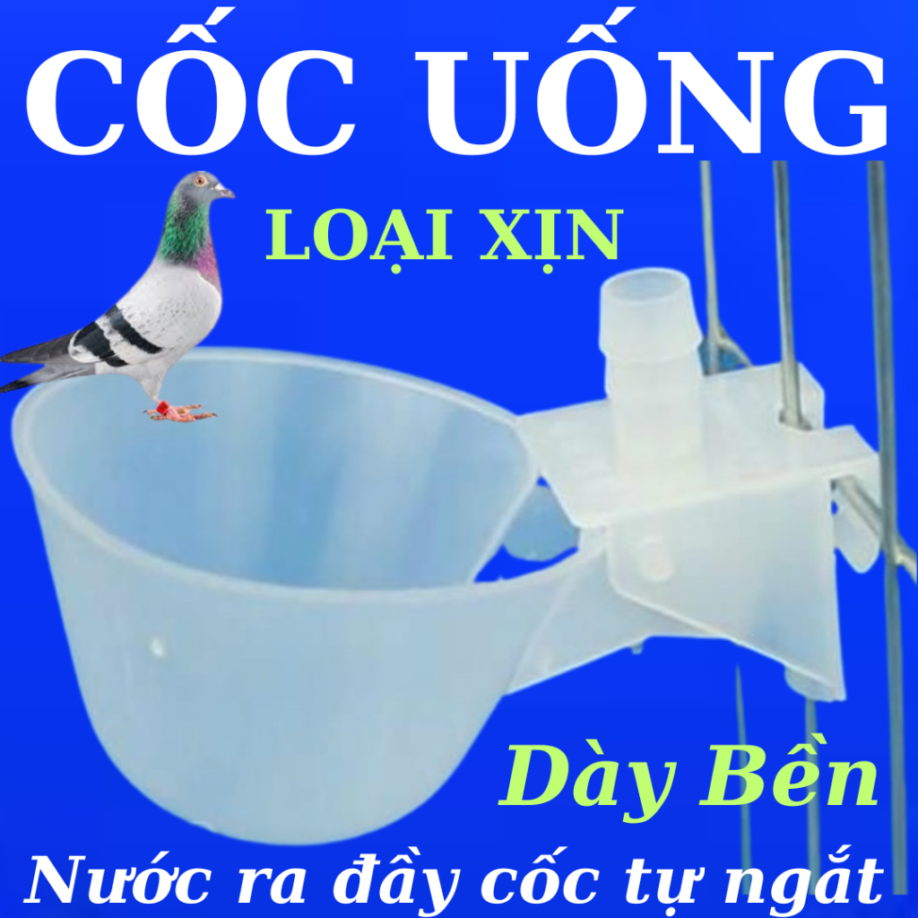 Extremely Effective Automatic Drinking Trough for Pigeons, Ornamental ...