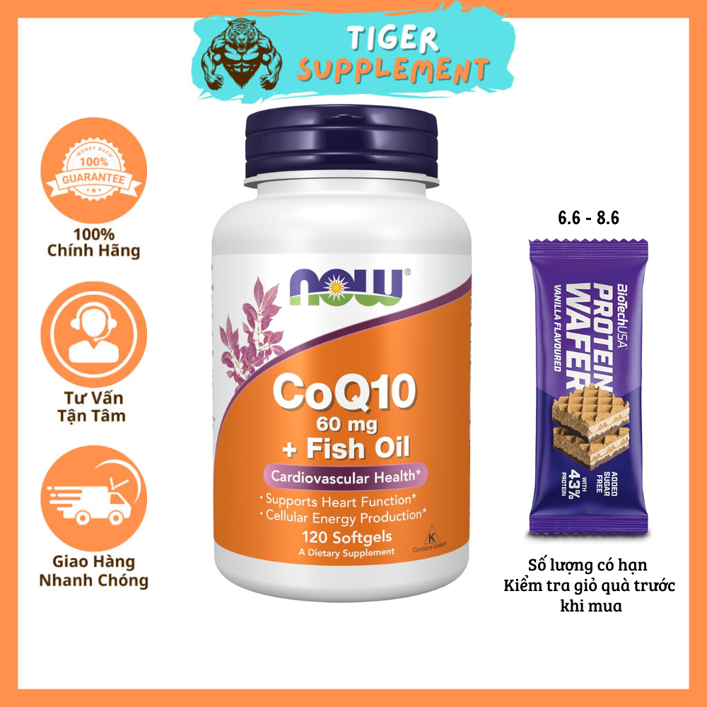 Now CoQ10 60mg With Omega 3 - Supports the Cardiovascular System, Brain ...