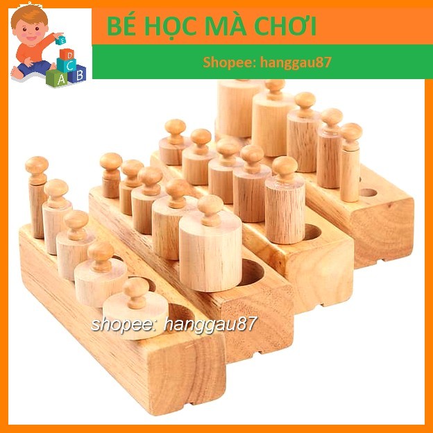 Montessori Mini Cylinder blocks (Mini Cylinder blocks) | Shopee Malaysia