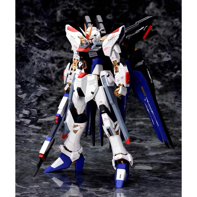 Hg CE 201 Strike Freedom Fighter Revive Assembly Model | Shopee Malaysia