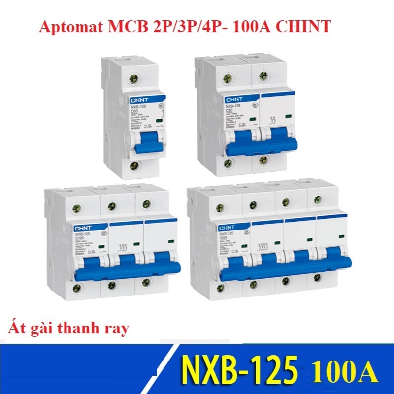 Mcb 2P 3P 4P 100A CHINT NXB-125 - LARGE CAPACITY RAIL BAR | Shopee Malaysia