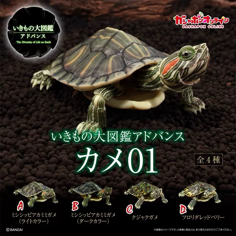 [Genuine] Gashapon/ Capsule toy Bandai - Life diversity in Earth - Red ...