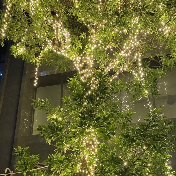 50 Meter Waterproof Decorative Tree Rolling LED String Lights ...