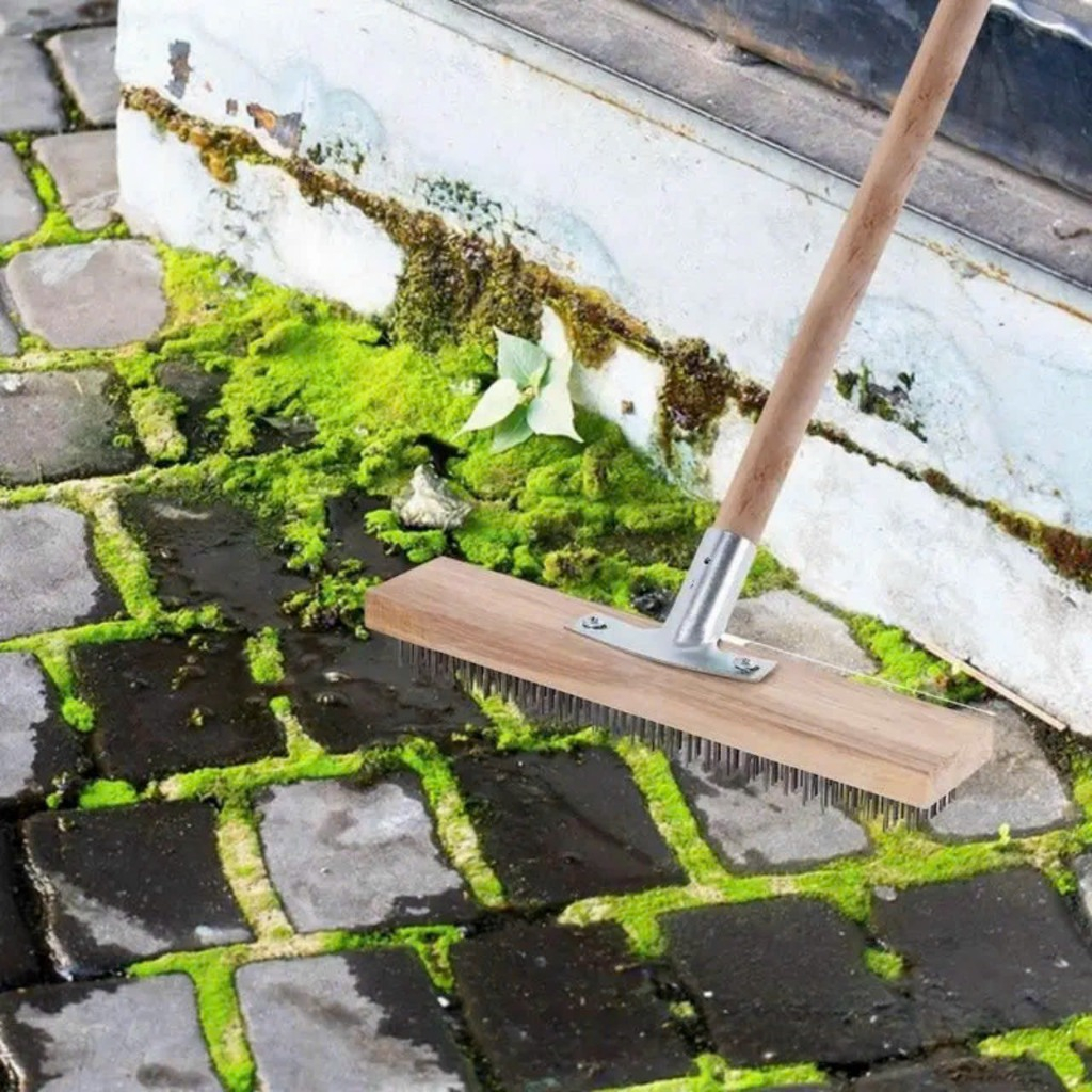 Copper-plated iron broom to scrub moss and yellow stains on the garden ...