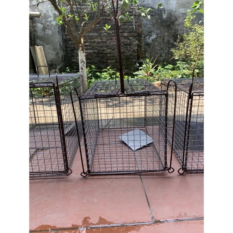 Multi-purpose Animal Trap (30×50cm). Trap for Cats, Snakes, Squirrels ...