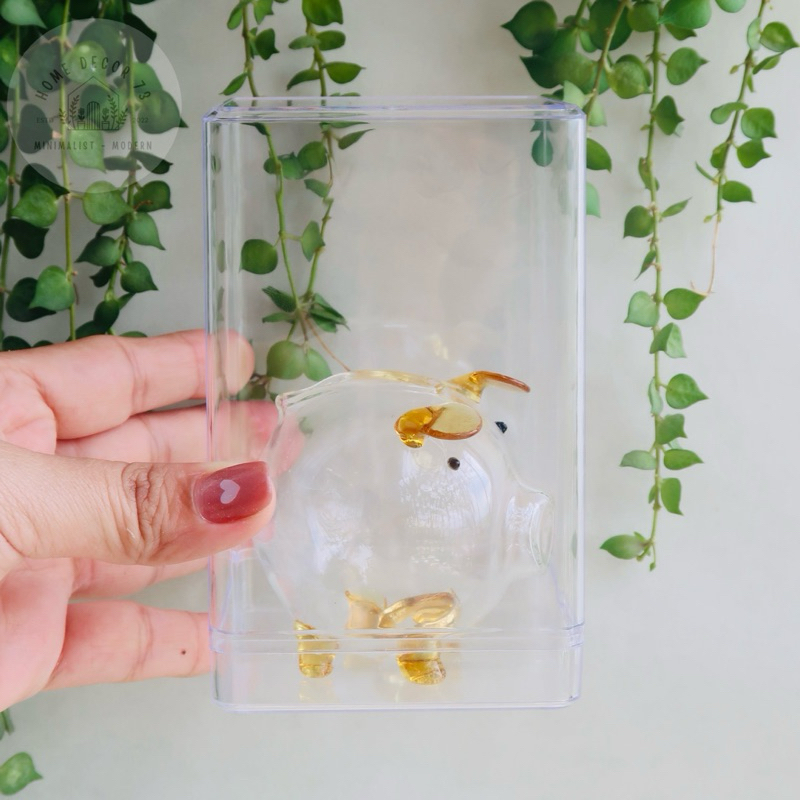 [Box Only]mika transparent glass pig box - cute glass pig display box ...
