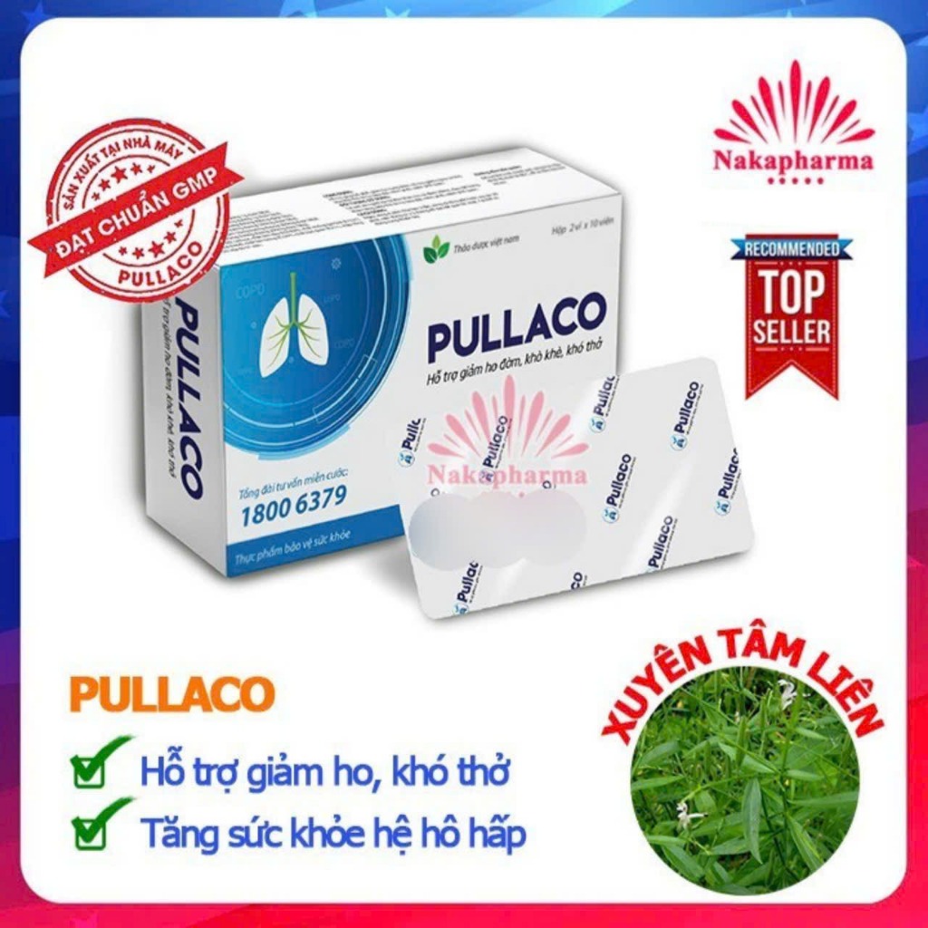 Pullaco has Xuyen Tam Lien | Supports lung tonic, reduces cough, clears ...