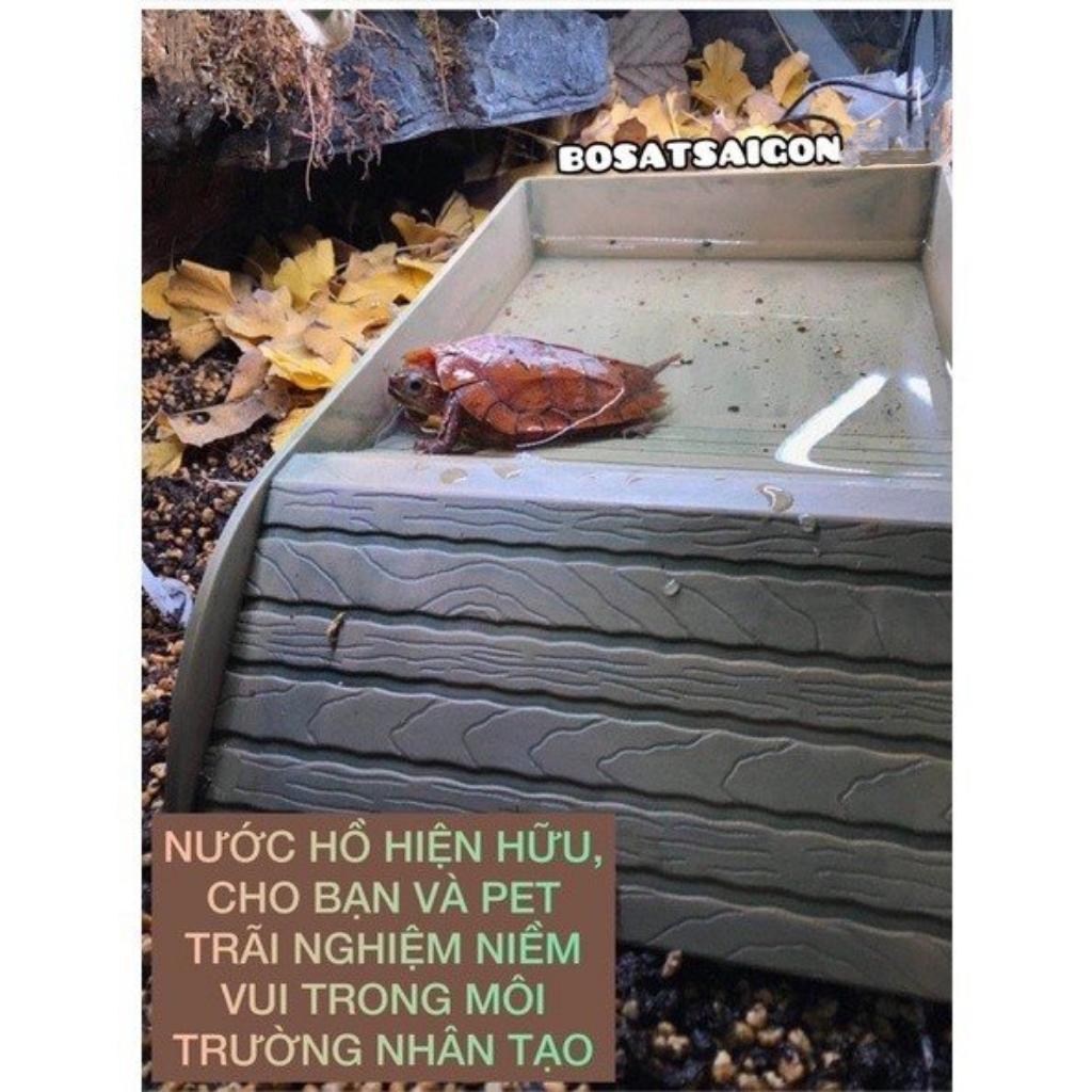 Water POOL WITH ANTI-SLIP SIDE FOR AQUARIUM TURTLES Sulcata, SOUTH ...