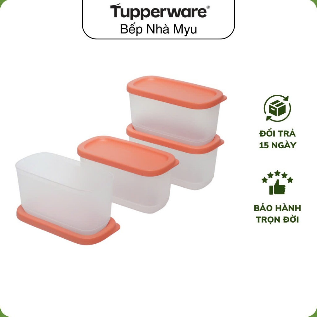 Tupperware Mini Rectangular Box Set 250ML (4 Boxes) | Shopee Malaysia