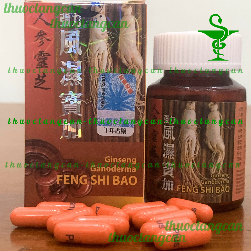 (Plus Tablet) Gingseng Ganoderma Feng Shi Bao - POWERFUL Ganoderma ...