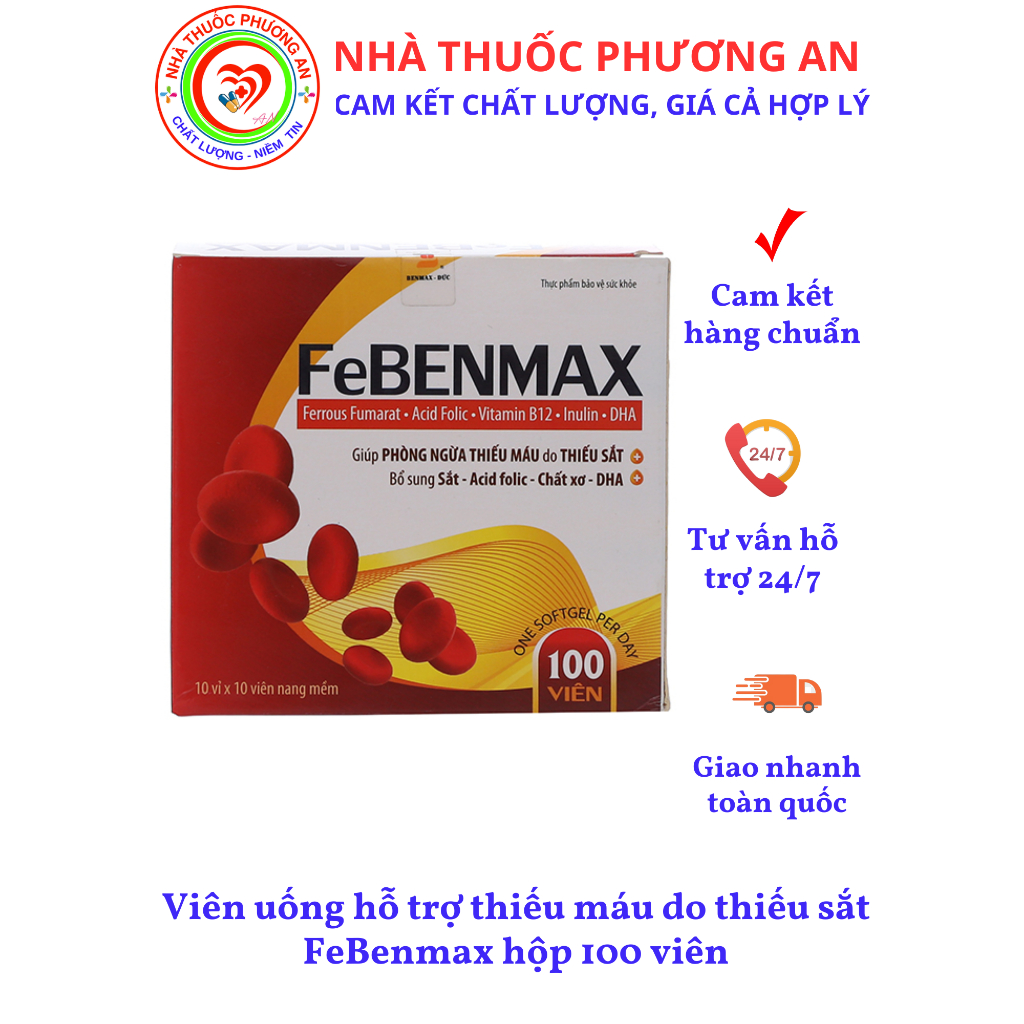 Febenmax IRON BLOOD SUPPLEMENT PILLS _ box of 100 tablets: Iron ...