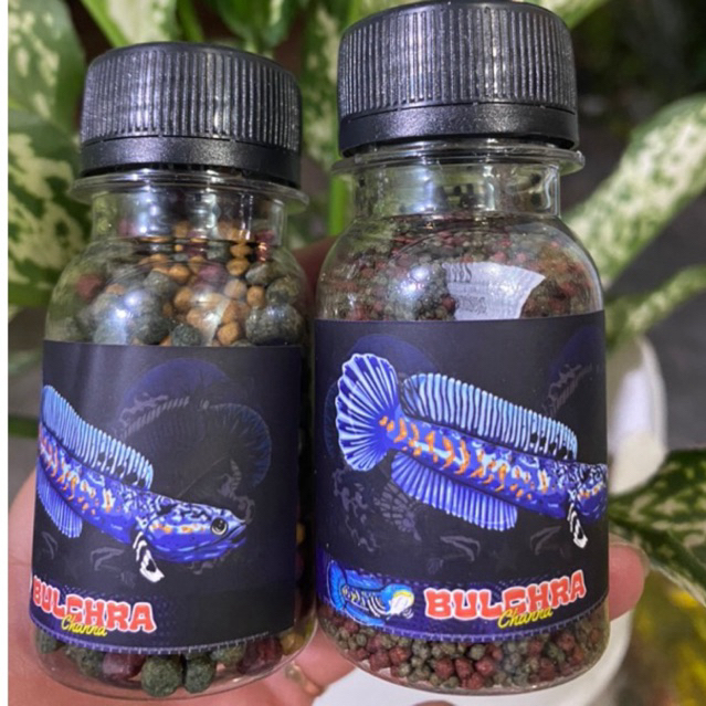 Phao hoa snakehead fish bran Mixed bran for yellow-spotted snakehead ...