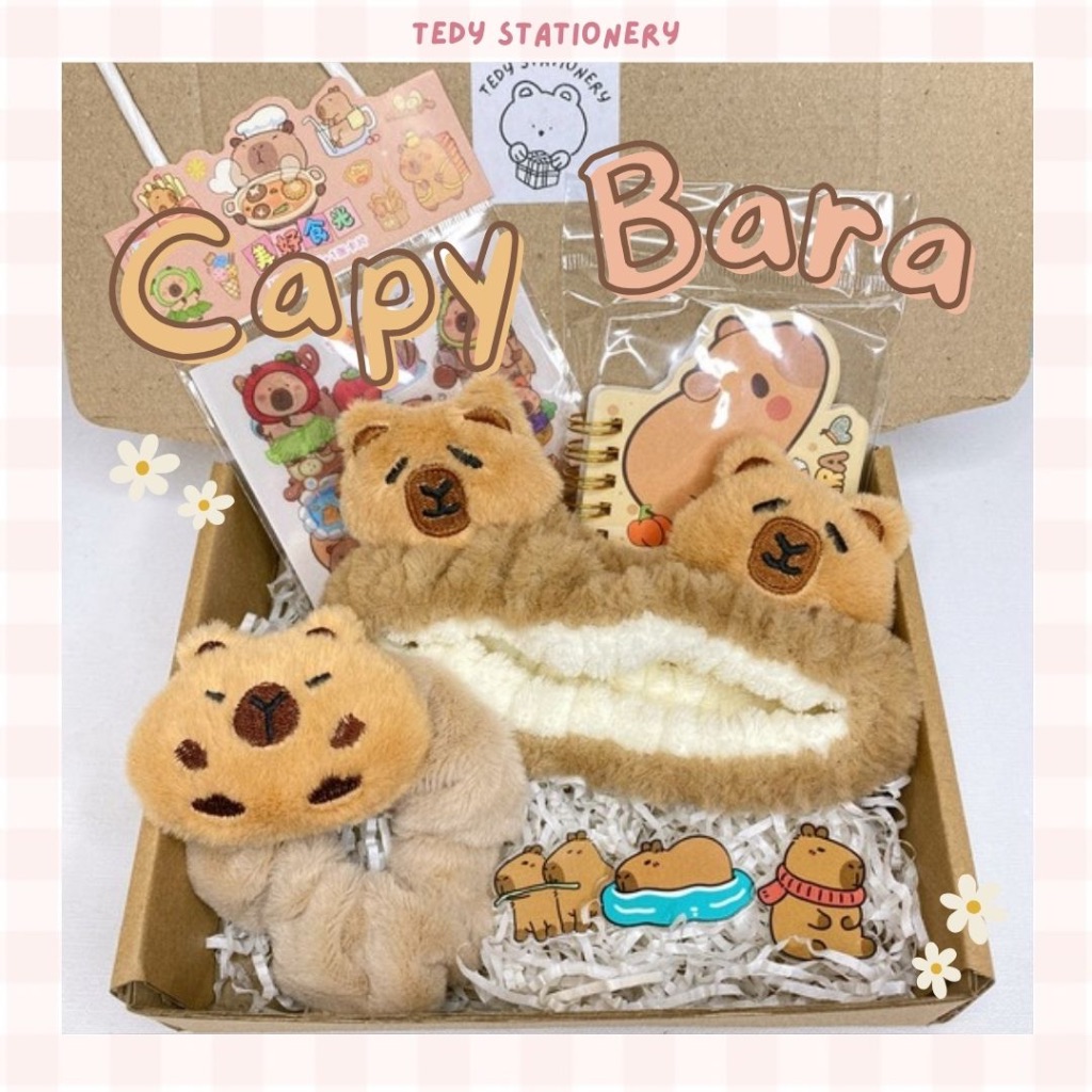 (CHEAP Sale) Capybara guinea pig gift set, hot trend Capybara birthday ...