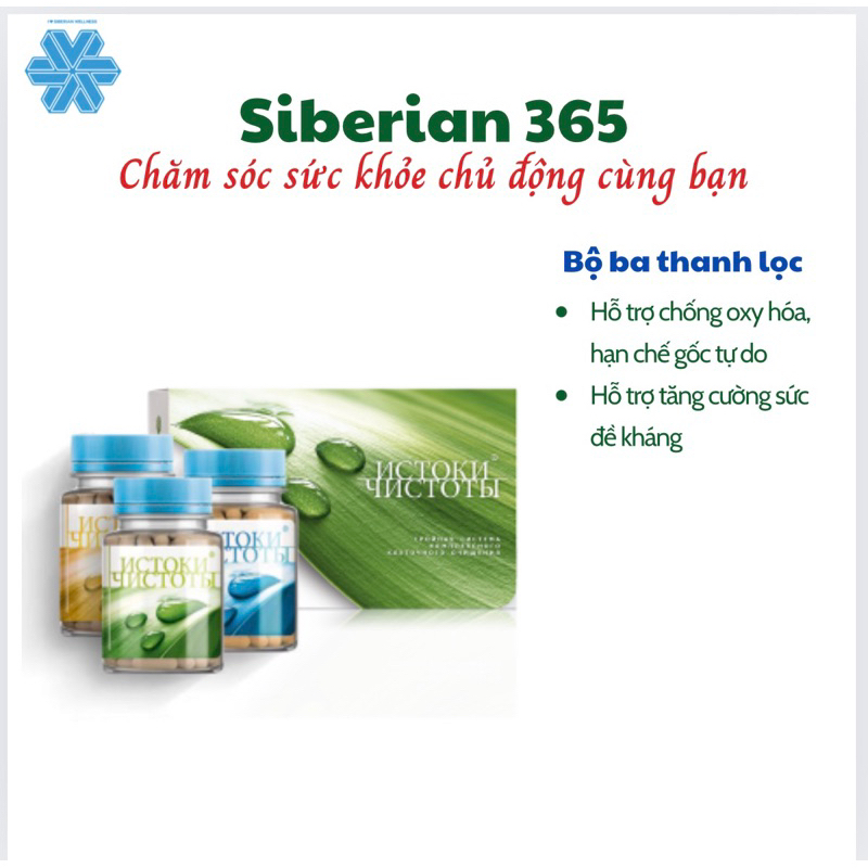 Renaissance Triple Set of 3 detox teas - Siberian Wellness - 180 ...