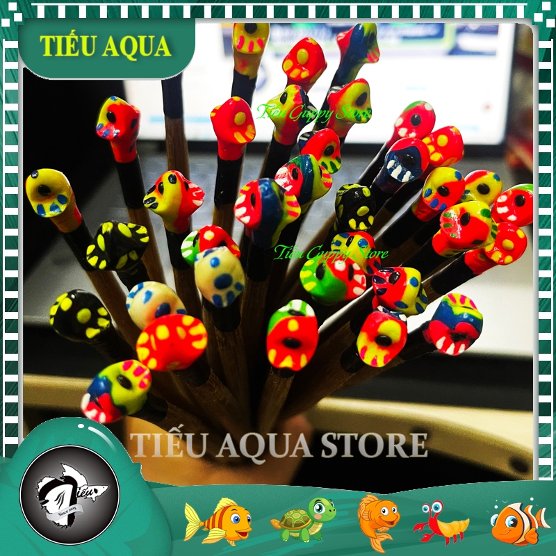 Betta Fish Tank - Training, Helps Fish Get Healthier (Random Delivery ...