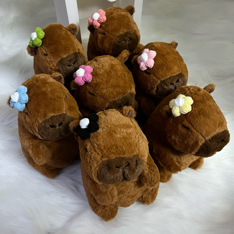 (Available) Capybara teddy bear with flowers, cute and lovely gift ...