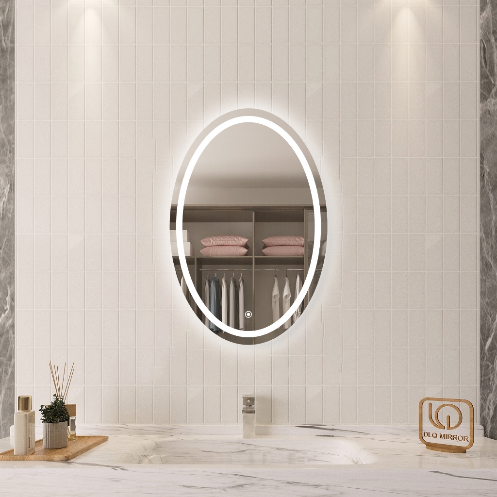 Dlqdecor Elip Wall Mounted Mirror with Convenient 3-Color Touch Led ...