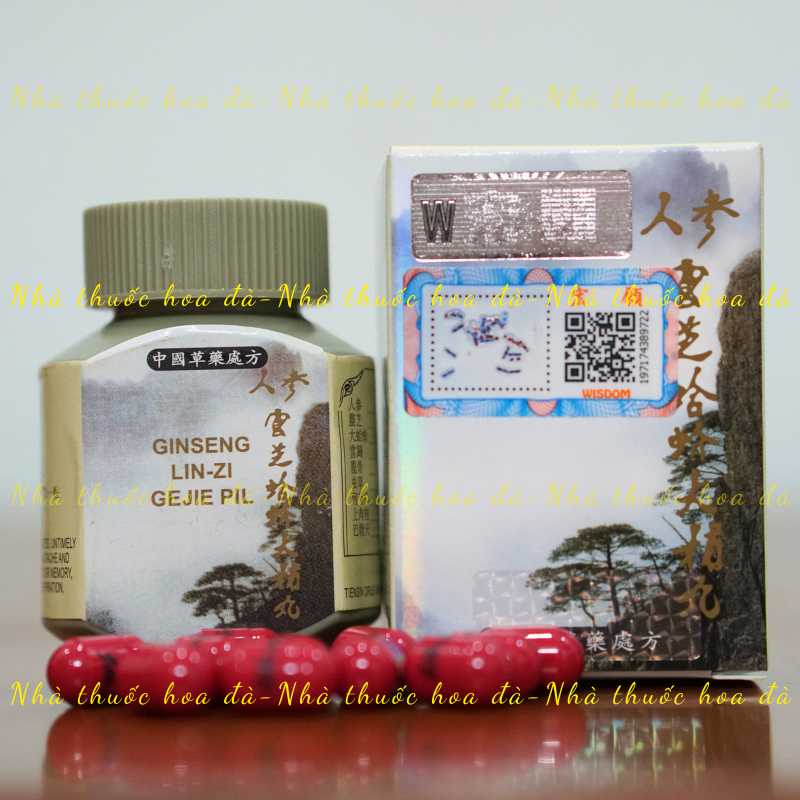 Ginseng Kianpi Pil 30 Tablets _ Genuine Ginseng Strengthens the Spleen ...