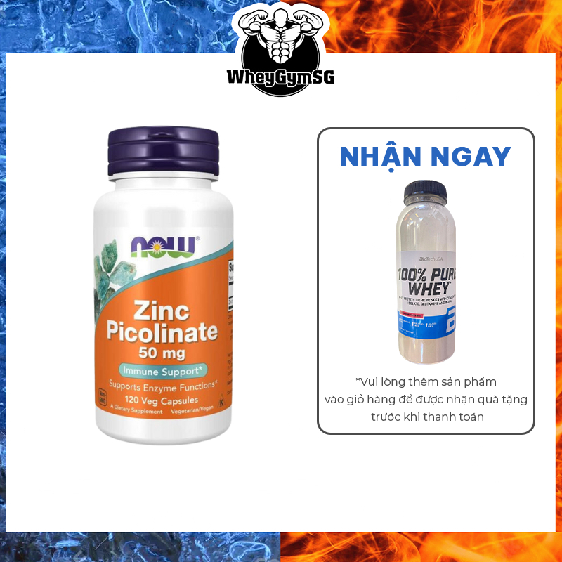 Now ZINC PICOLINATE 50MG Muscle Development and Post-Workout Recovery ...