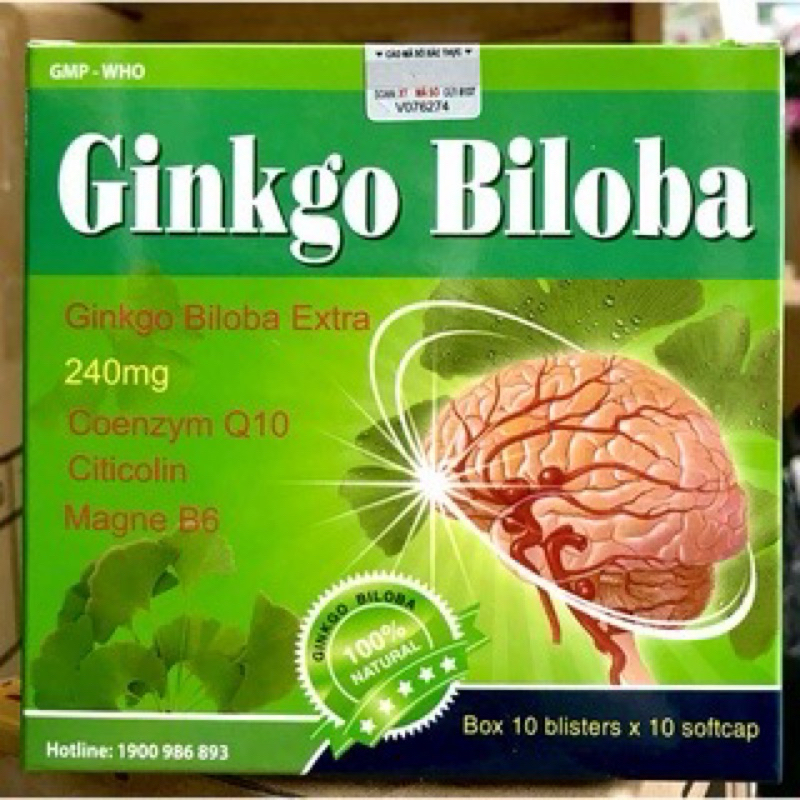 Ginkgo BILOBA 240MG - GINGKO 240MG - NUTRITIONAL SUPPLEMENT FOR THE ...