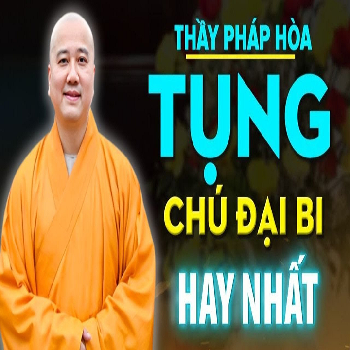 1g Memory Card Copy Complete Set of 26 Lessons Master Thich Phap Hoa ...