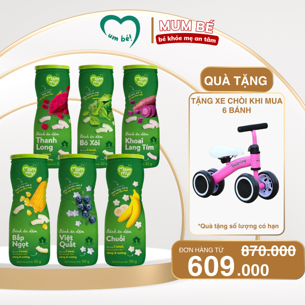 Combo of 6 Mammy weaning cakes with 6 fruit and vegetable flavors, cool ...