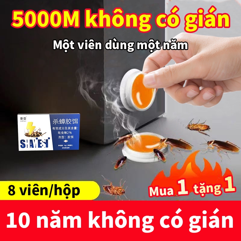 10 years without cockroaches YM biological cockroach killer students ...