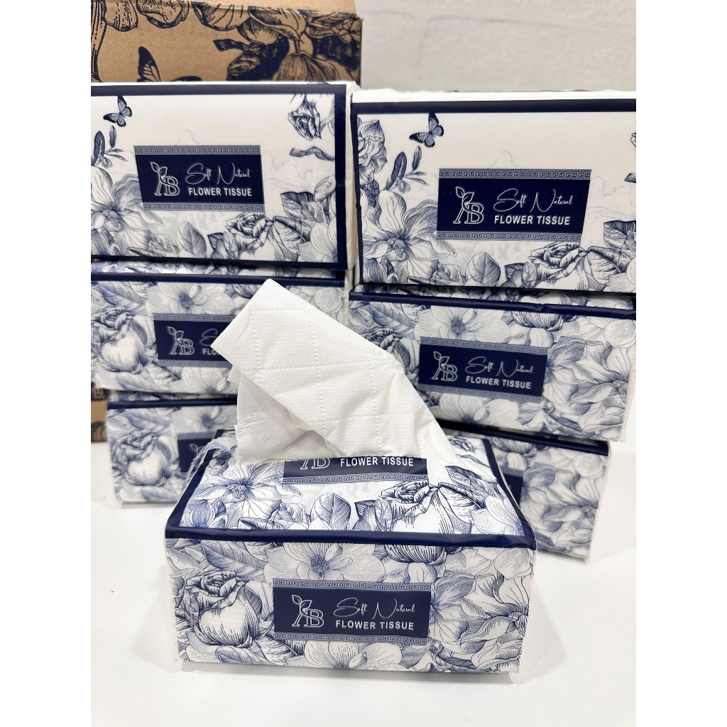 Package of 4-Layer Premium Domestic Tissue (400 Sheets/Pack) AB Flower ...