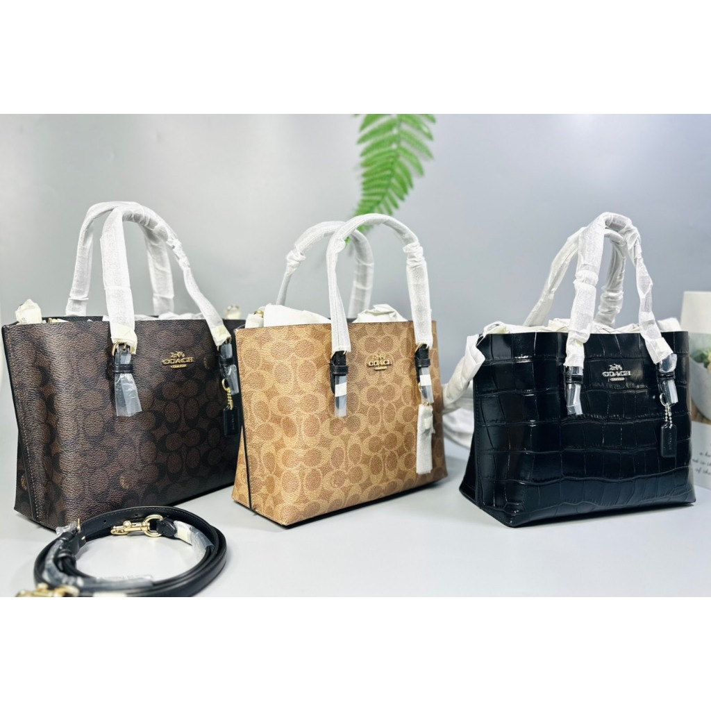 Genuine Coach Mollie Tote 25 Signature Canvas Tote Bag Beige Brown ...