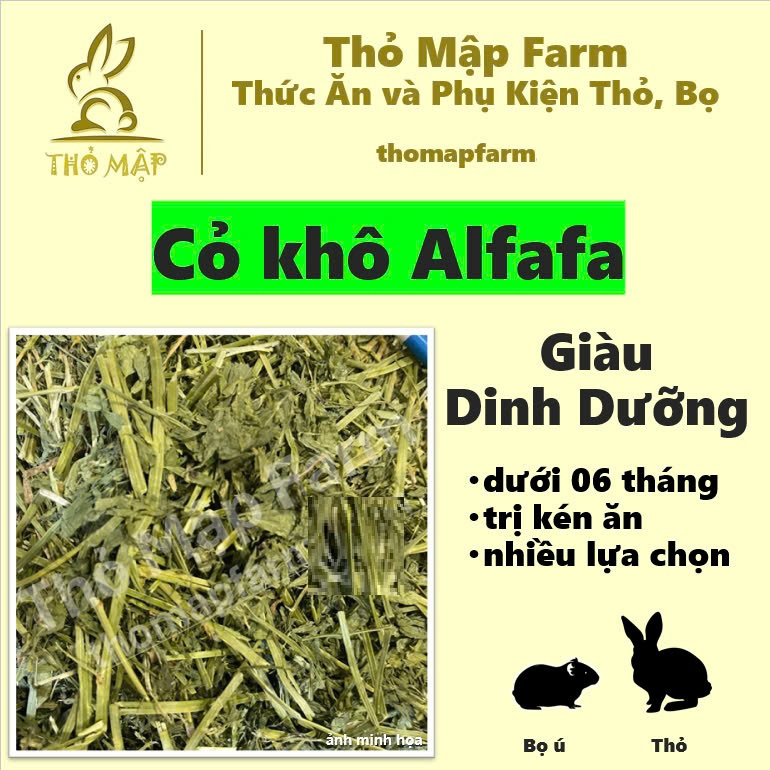 Alfafa grass for Rabbits, Bugs, Chinchillas 1kg, Alfafa hay in open ...