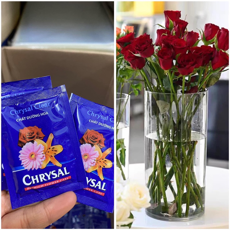 Set of 100 specialized flower care packages for 7 days without needing ...