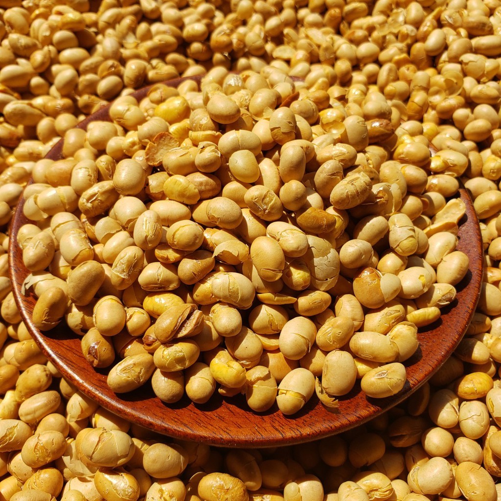 MamiFoods Crispy Dried Soybeans 500g box | Shopee Malaysia