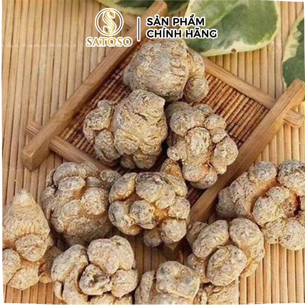 Satoso Dried Panax notoginseng Root Supports Blood Nourishment and ...
