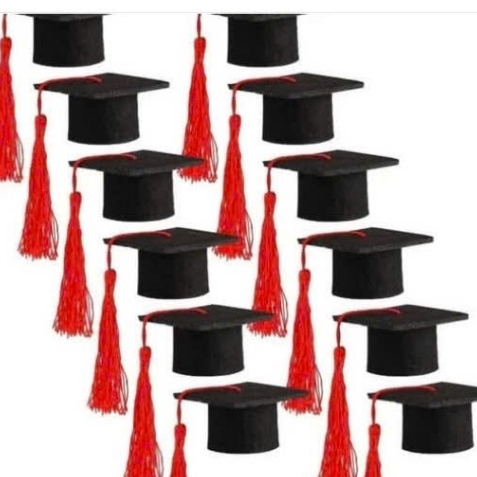 Mini graduation cap - graduation cap fits 25cm strawberry bear ...