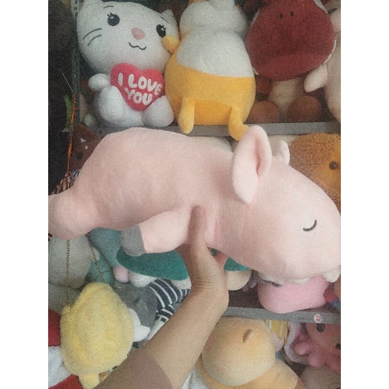Miniso teddy bear size 35-40cm | Shopee Malaysia