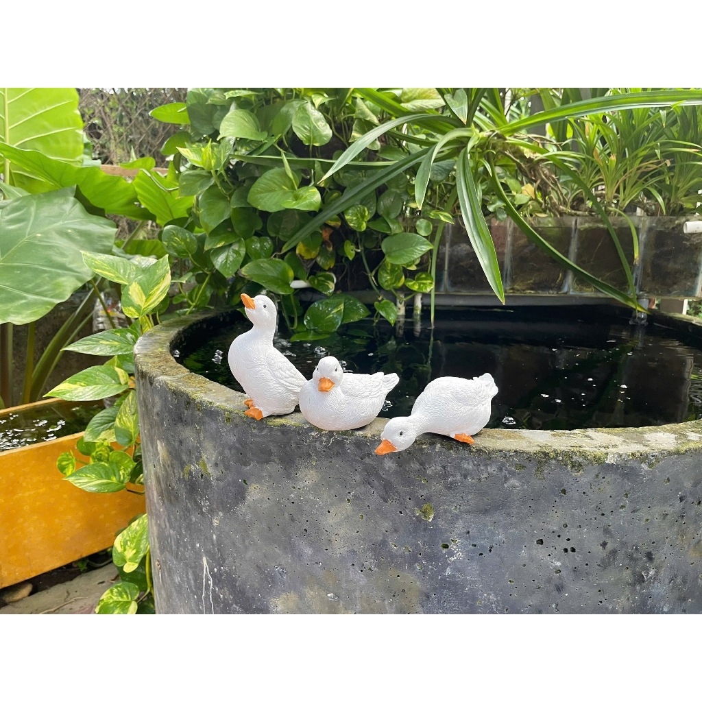 Set of 3 ducks to decorate aquariums and fish tanks | Shopee Malaysia