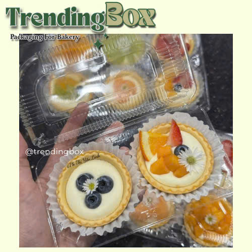 100 Plastic Boxes of 2 for Fruit Tarts, Su Sing, Mini Tarts (FJ310 ...