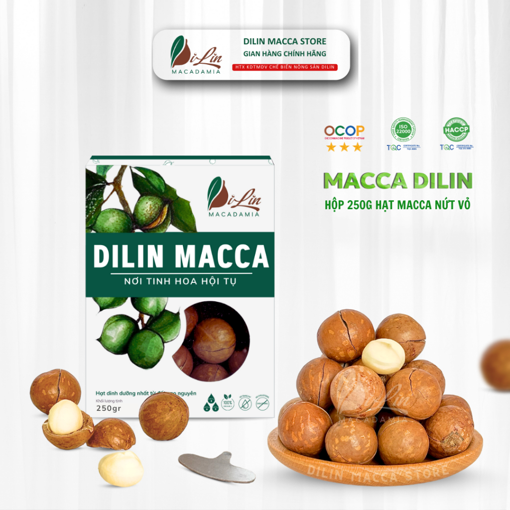 Dilin cracked MACADAMIA nuts, Central Highlands MACADAMIA nuts - DILIN ...