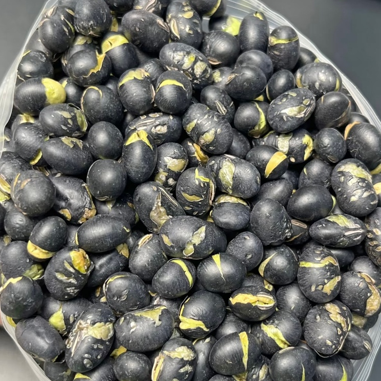 Crispy dried black beans - 100gr bag - Sublimation dried black beans ...
