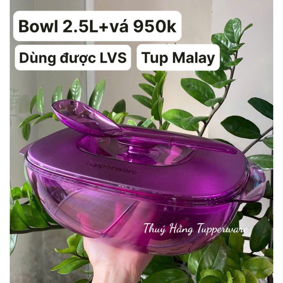 Genuine Malaysian Tupperware - Cool Dry Food Containers - 01 Box ...