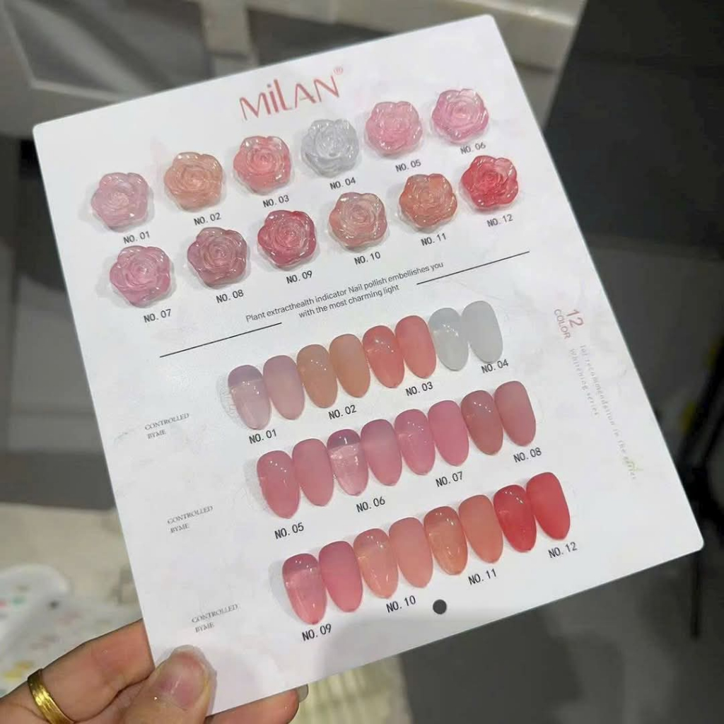Milan 12-color jelly set with color chart | Shopee Malaysia